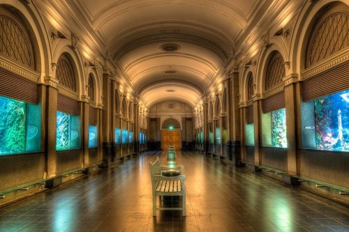 Het monumentale Aquarium van ARTIS heropent