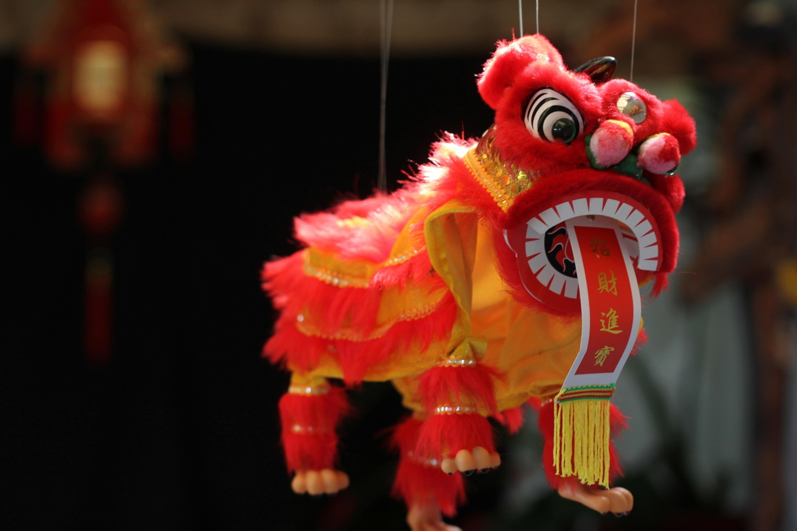 Lunar New Year 2026 Amsterdam: date, parade & tips